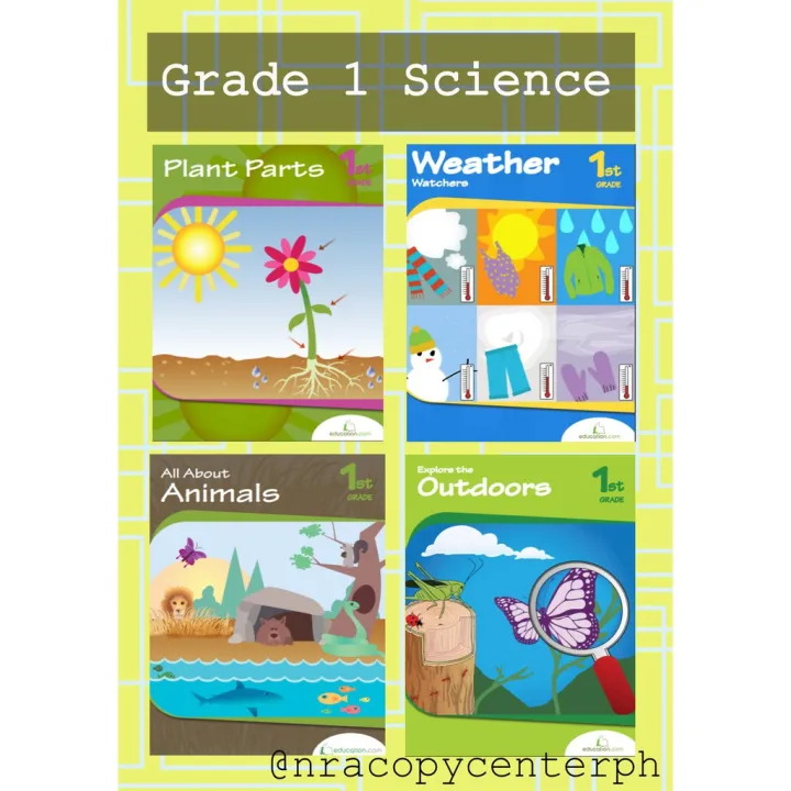 Grade 1 Activity Worksheet in SCIENCE | Lazada PH