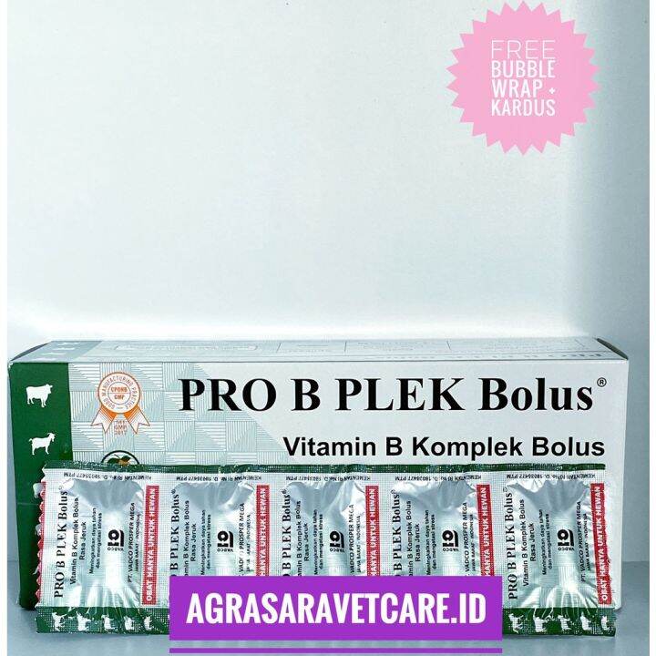 PRO B PLEK 1 BOLUS - Vitamin B kompleks Hewan BOLUS RASA JERUK (harga 1 bolus) | Lazada Indonesia
