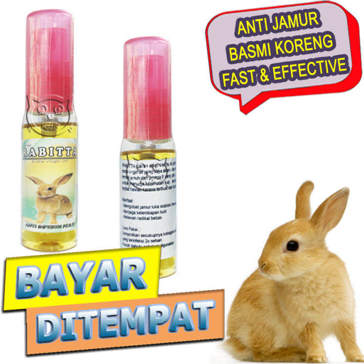 Rabiitta Spray Obat Koreng Buduk Jamur Scabies Kelinci | Lazada Indonesia
