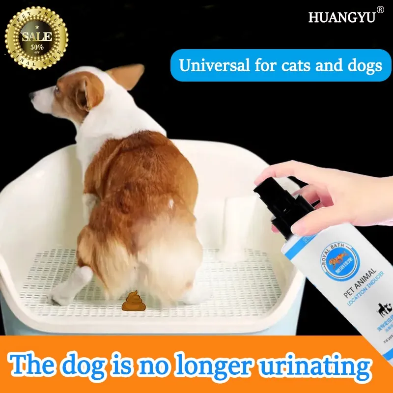 Can Dogs Use The Toilet