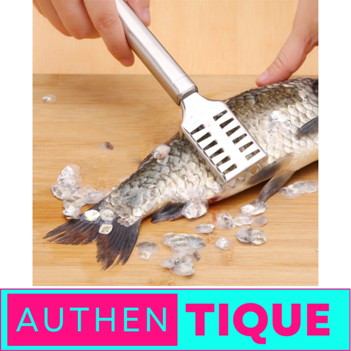 Authentique - Stainless Fish Scale Remover / Pang tanggal ng Kaliskis ...
