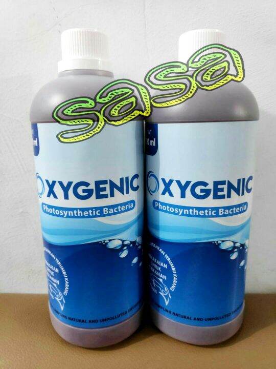 Oxygenic probiotik perikanan 1liter Probiotik oxygenic bakteri ...