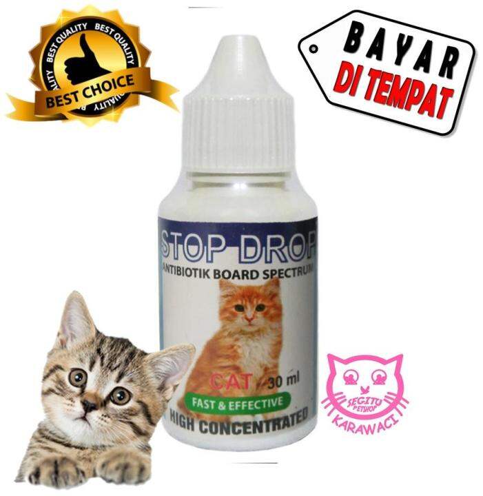 Obat Kucing Antibiotik Obat Demam Flu Batuk Diare Dan Gejala Virus Pada ...