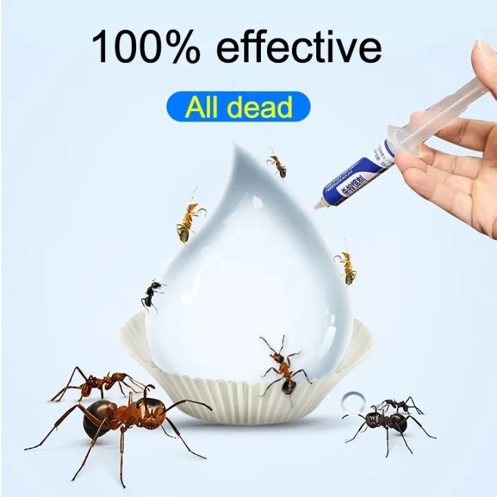 100 effective ant killing bait Insect Killer Ant killing bait Gel ...