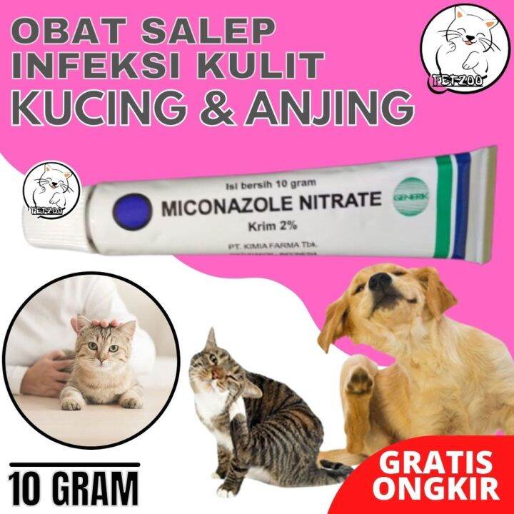 Salep Jamur Dan Infeksi Kulit Kucing Anjing FETZOO | Lazada Indonesia