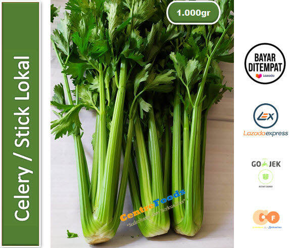 Celery Stick Lokal | Seledri Stick Lokal [ Harga Per KG ] | Lazada ...