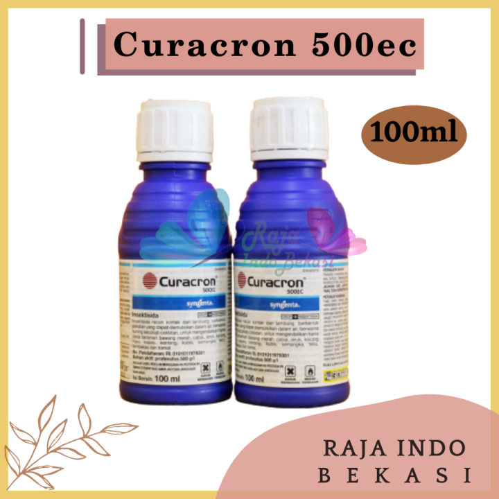 CURACRON 500EC 100ML INSEKTISIDA HAMA pd CABAI JERUK BAWANG MERAH TEBU ...
