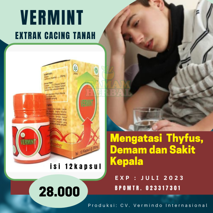 Vermint Extrak Cacing Tanah Isi 12 kapsul | Obat Thyfus Demam Dan Sakit ...