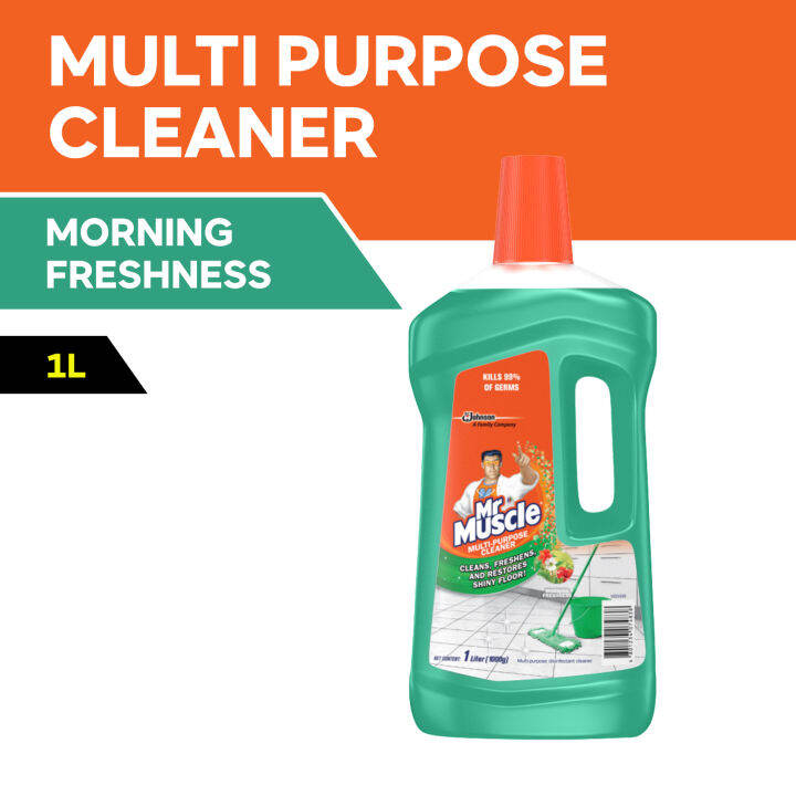 Mr. Muscle All Purpose Cleaner 1L - Morning Freshness | Lazada PH