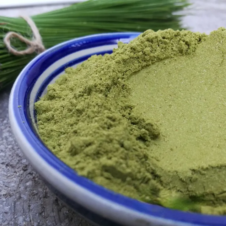 (Chinese Tea) Whole Pine Needle Powder 500g Wild Pine Needle Tea Yunnan ...