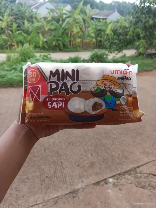 PELANGI Mipao Cokelat Mini Pao [30 pcs] | Lazada Indonesia