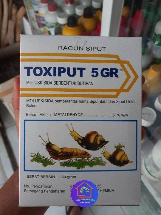 COD Toxiput 5 GR Obat pertanian racun siput | Lazada Indonesia