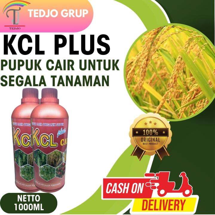pupuk bawang merah pelengkap kcl 1 liter | Lazada Indonesia