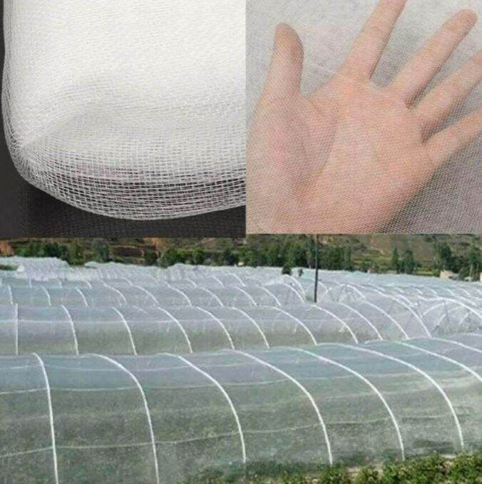 Fine Mesh Insect Net (12ft x 54m x 24mesh) by Plantito rey | Lazada PH