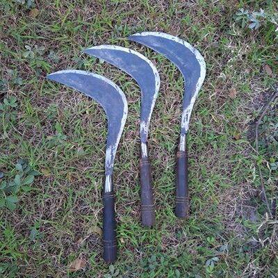 Arit Rumput Baja Per Asli - Arit Besar Pakan Ternak - Sabit Semak Belukar Alang Alang | Lazada ...