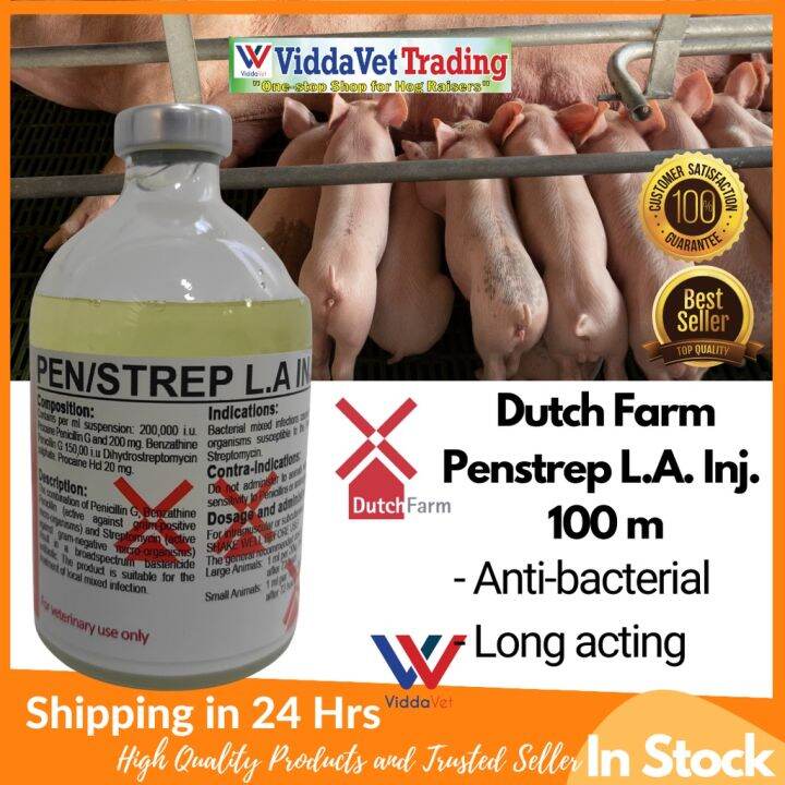 Dutch Farm 100 ml Pen/Strep L.A. broad spectrum for livestock Penstrep ...