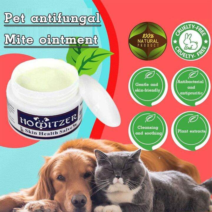 GiiMall Pet Skin Cream for Cats Tools and Supplies Cleansing Skin Cream ...