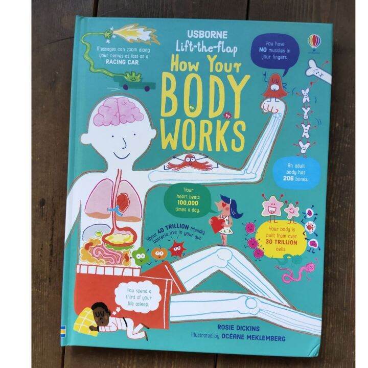 USBORNE How Body Works (brand new board book) WITH DENTS on book cover ...