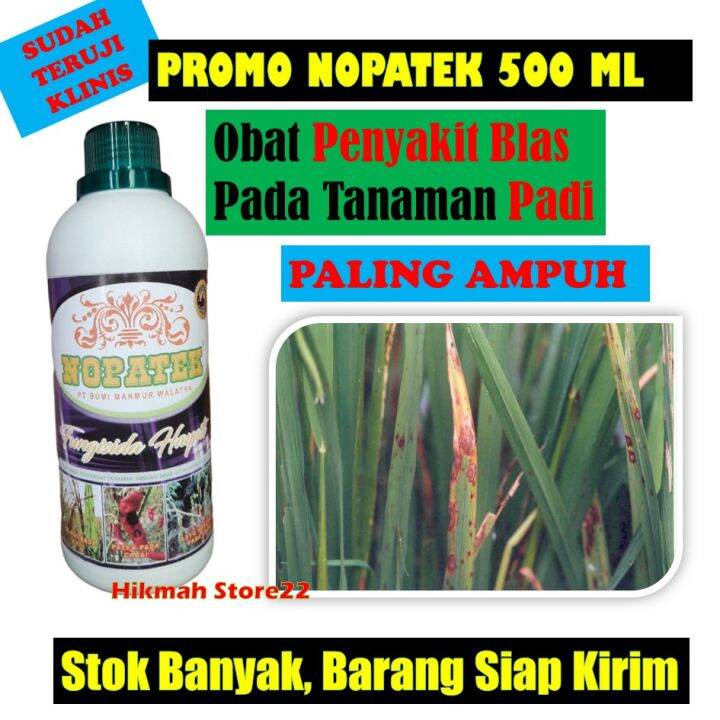 PROMO NOPATEK 500 ML Obat Penyakit Blas Pada Tanaman Padi - Obat ...