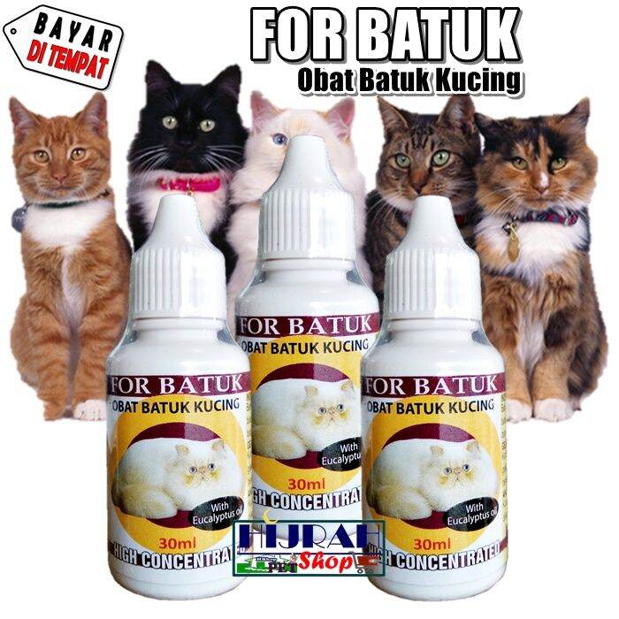 Obat Kucing Obat Batuk Kucing Obat Pilek Flu Kucing Sesak Nafas Asma ...