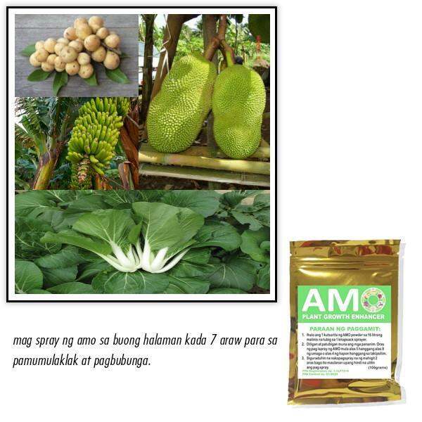 AMO Plant Growth Enhancer Fertilizer All-in-1 Formula - Akoy ...