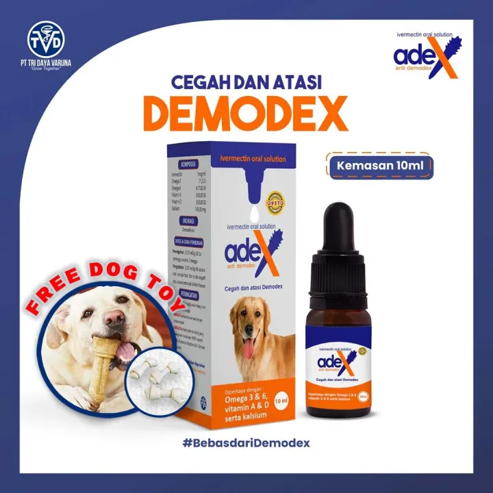 Obat demodex demodek kudis gudikan botak pada anjing sirup adex 10 ml | Lazada Indonesia