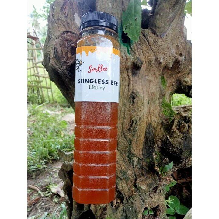Sorsogon's Best SorBee Pure Raw Wild Rare Trigona Native Stingless Bee ...