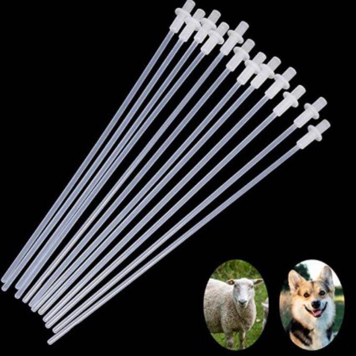 10 pcs Disposable Insemination A.I. Catheters Pet Artificial ...