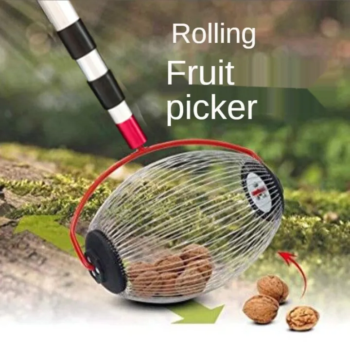 READY STOCK Fruit Collection Pick Up Fruit Quick Pick Up Fruit Pick Up ...