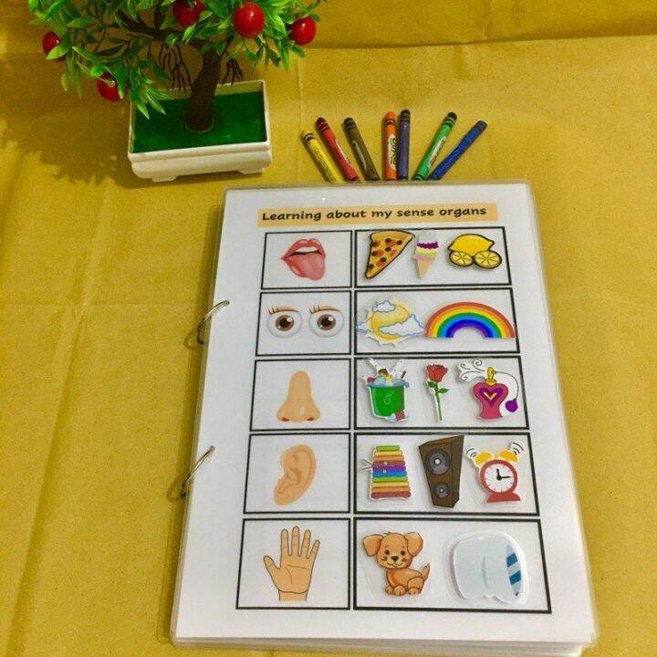 My Sense organs/ Five Senses Detachable (Velcro) Fully Laminated ...