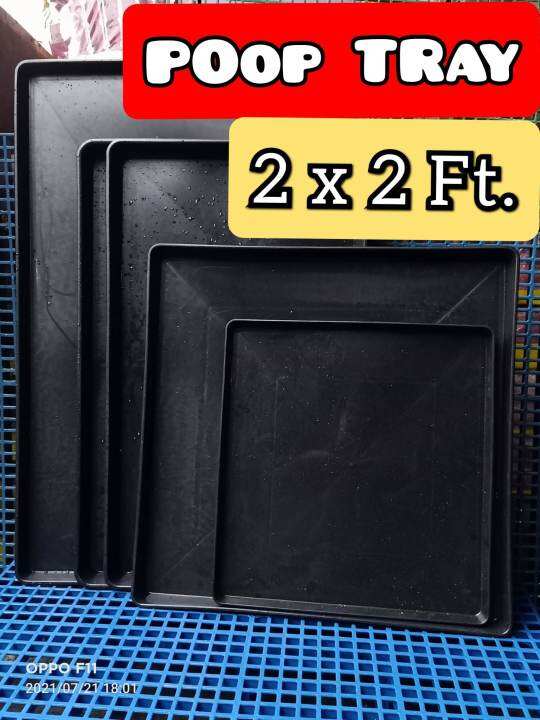 Poop tray 2x2 FT | Lazada PH