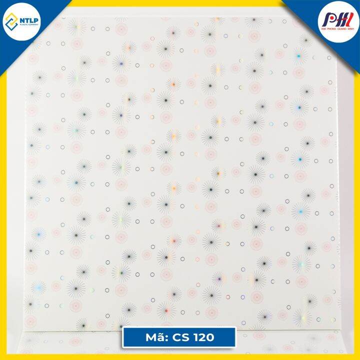 Trần nhựa thả / La phông nhựa CS120 | Lazada.vn