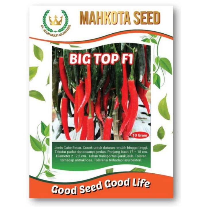 Benih Cabe Besar Mahkota Seed BIG TOP F1 - 10 gram | Lazada Indonesia