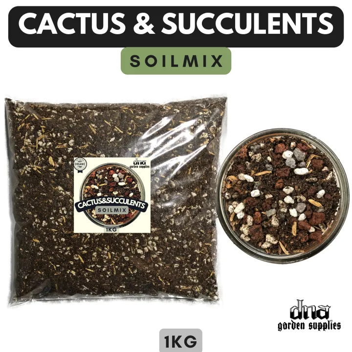 CACTUS AND SUCCULENTS SOIL MIX - HIGH QUALITY CNS SOIL MIX 1KG | Lazada PH