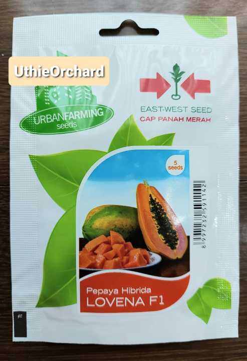 Benih Panah Merah - Pepaya Lovena F1 | Lazada Indonesia