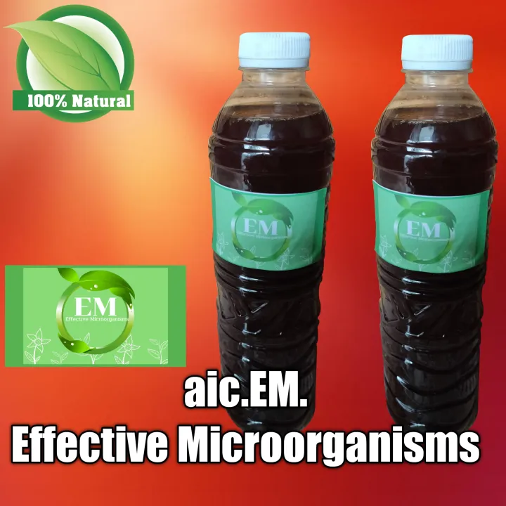 EM (Effective Microorganisms) อีเอ็ม กลุ่มจุรินทรีย์ที่มีประโยชน์ 2ขวด ...