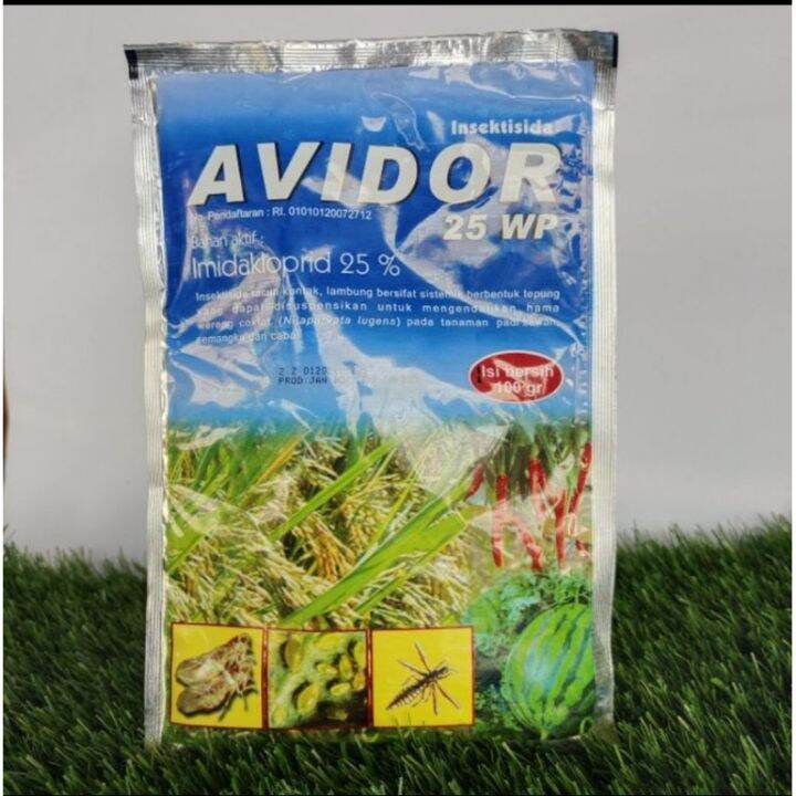 INSEKTISIDA AVIDOR 25WP 100g | Lazada Indonesia