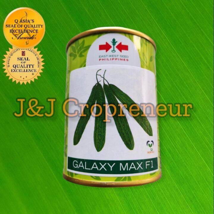 GALAXY MAX F1 HYBRID AMPALAYA SEEDS 250 SEEDS (EAST WEST SEEDS) | Lazada PH