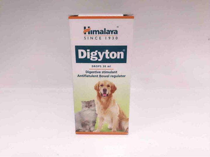 Himalaya Digyton | Lazada PH