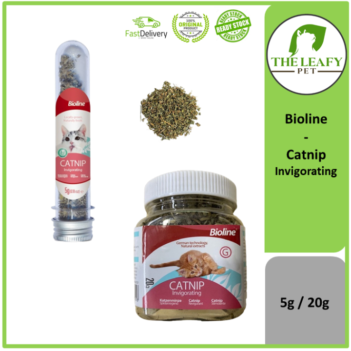 Bioline Catnip Invigorating for Cat - 5g / 20g | Lazada