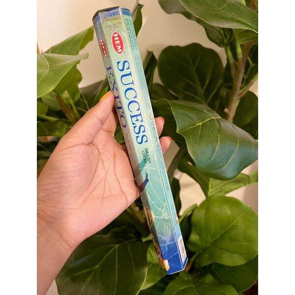 Hem Success Incense 20 sticks | Lazada PH