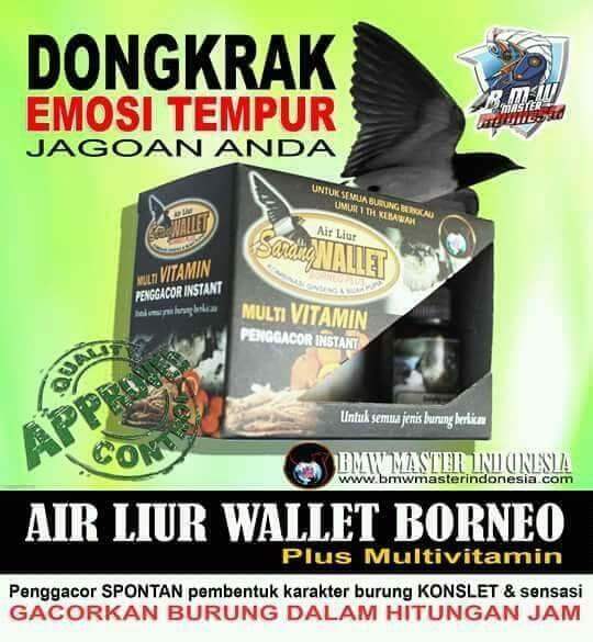 AIR LIUR WALET BORNEO PENGGACOR | Lazada Indonesia