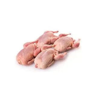 Burung puyuh / Quail (10 ekor) - Grade C | Lazada