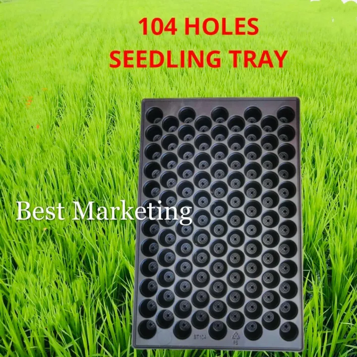 1pcs 104 Hole Seedling Tray / Bekas Semaian Plastic | Lazada
