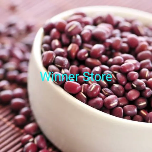 150 seed bibit biji benih red kidney beans kacang uci merah azuki bean ...
