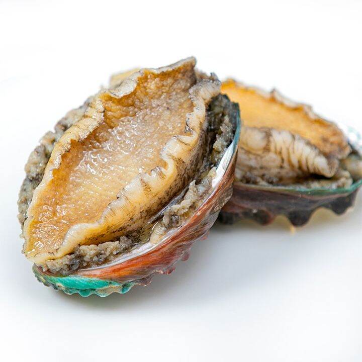 Half Shell Abalone 8 heads (around 500 grams) | Lazada PH
