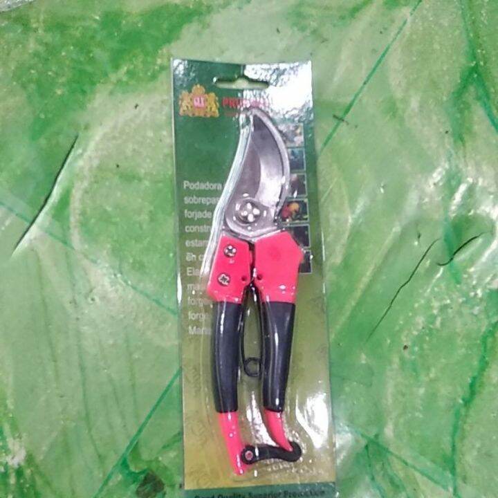 Gunting Dahan | Lazada Indonesia