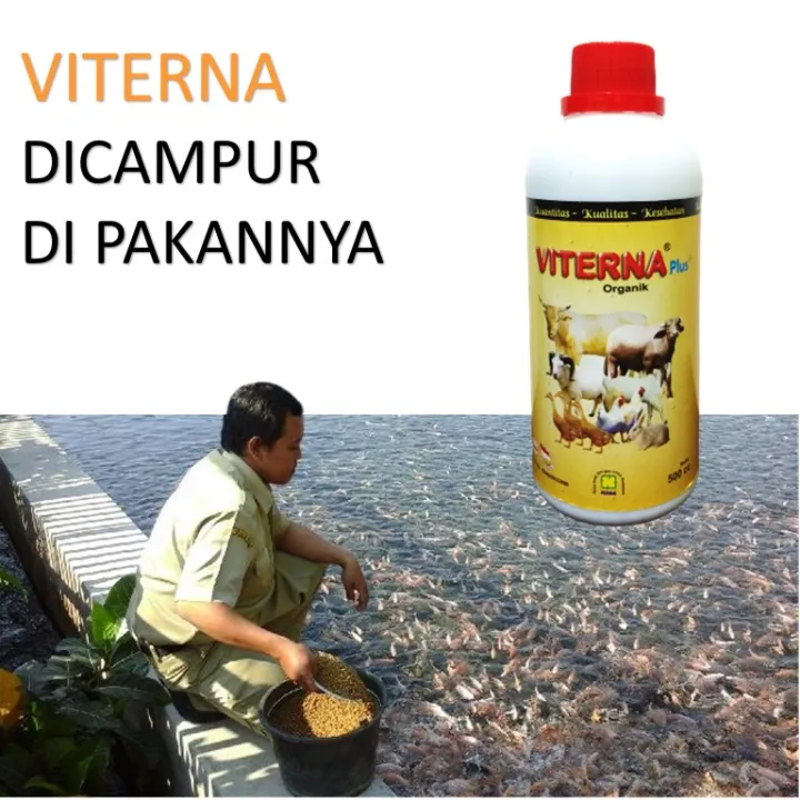 VITERNA NASA / VITAMIN TERNAK IKAN / Obat pembesaran ikan / MENJAGA ...