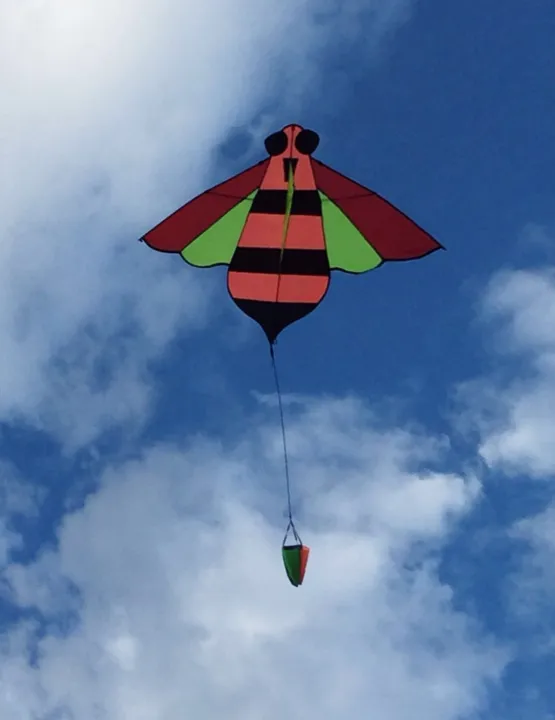 Yunnan Tianfei Bee Kite 90x140 | Lazada PH