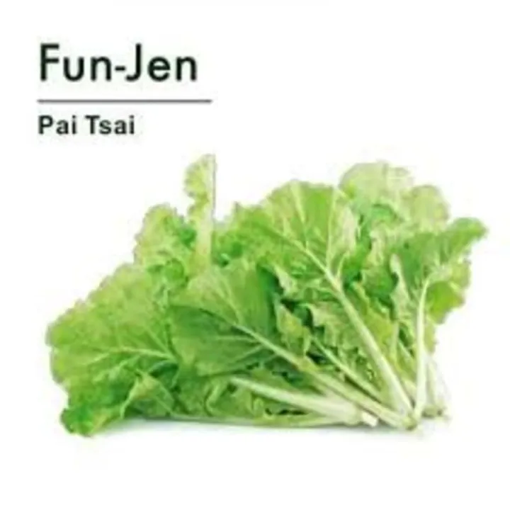 Biji Benih Sayur Sawi Keriting Pai Tsai Fun Jen | Lazada Indonesia